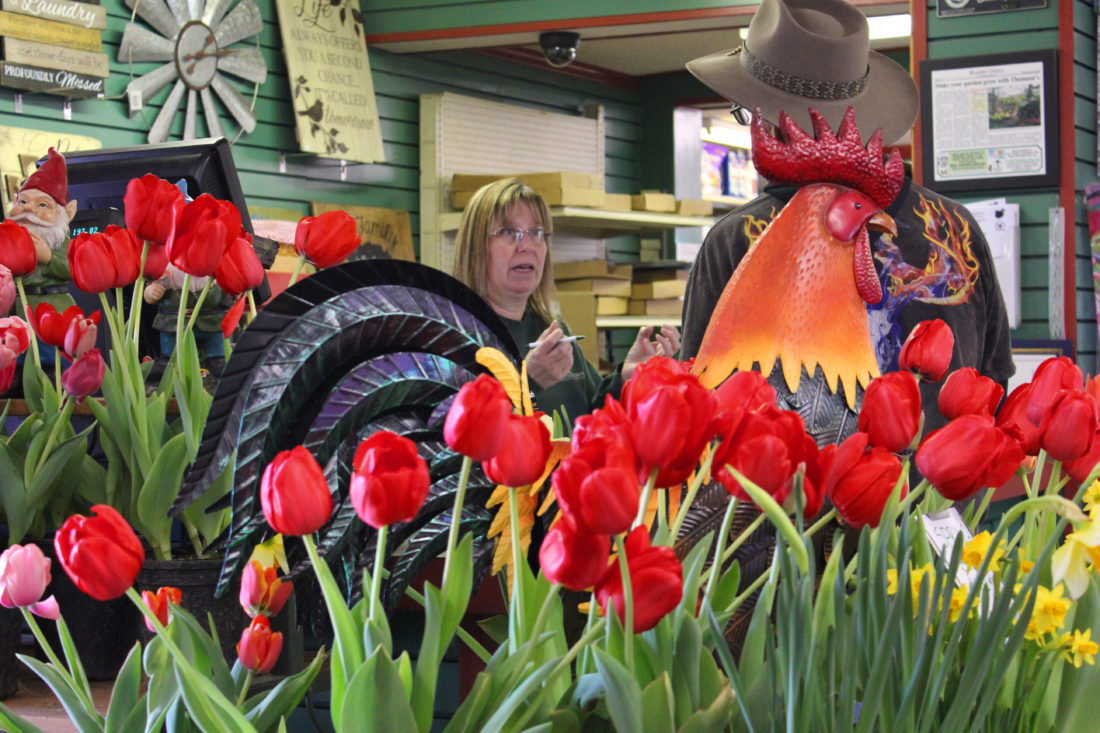 Spring on hold | News, Sports, Jobs - Marietta Times